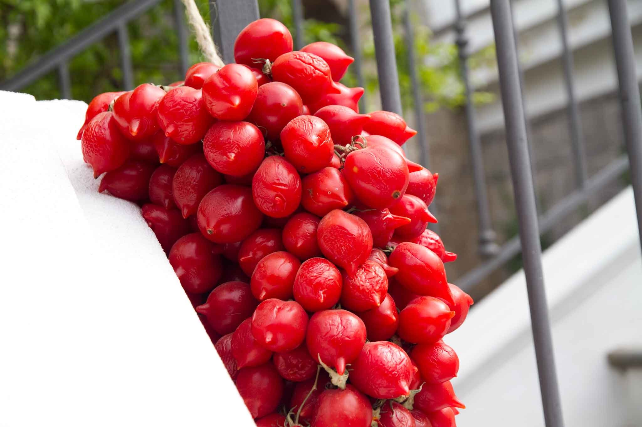 PIENNOLO DEL VESUVIO Tomato Seeds Lycopersicon Esculentum Organic ...