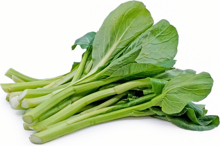 CHOY SUM Seeds Yu Choi Chinese Pak-Choi Graines dhéritage biologique ...