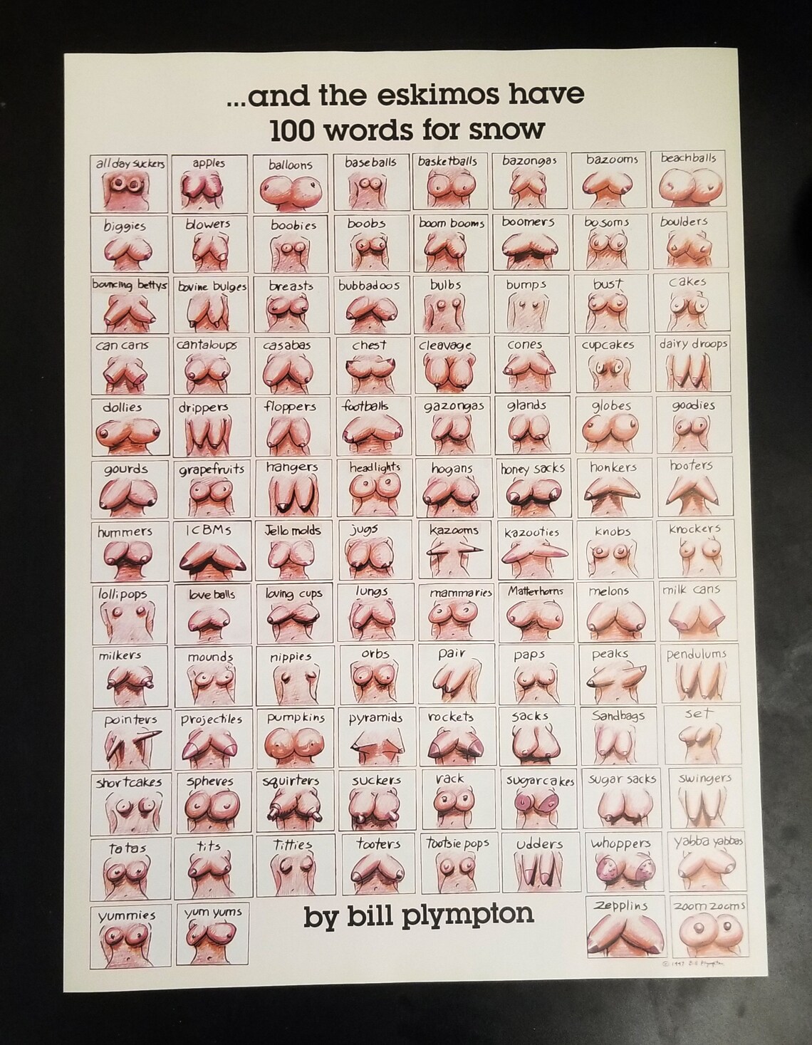 100 Words For Breasts Poster By Bill Plympton Etsy 100-words-for-breasts-poster-by-bill-plympton-etsy