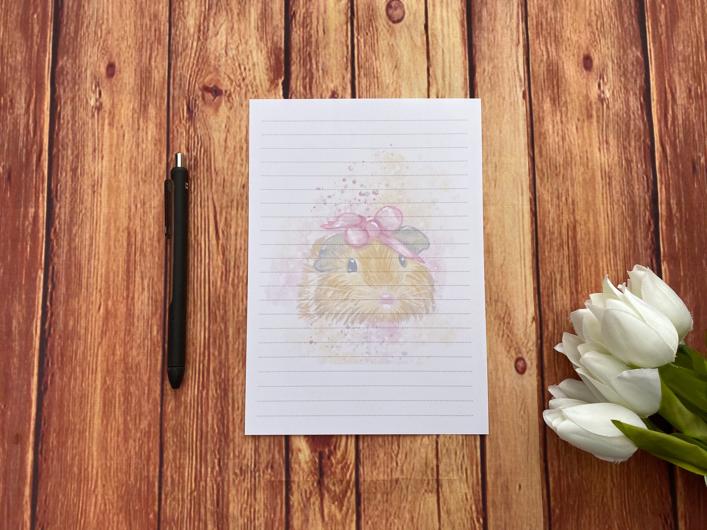 Guinea Pig A5 Writing Set Snail Mail Happy Post Penpal - Etsy UK