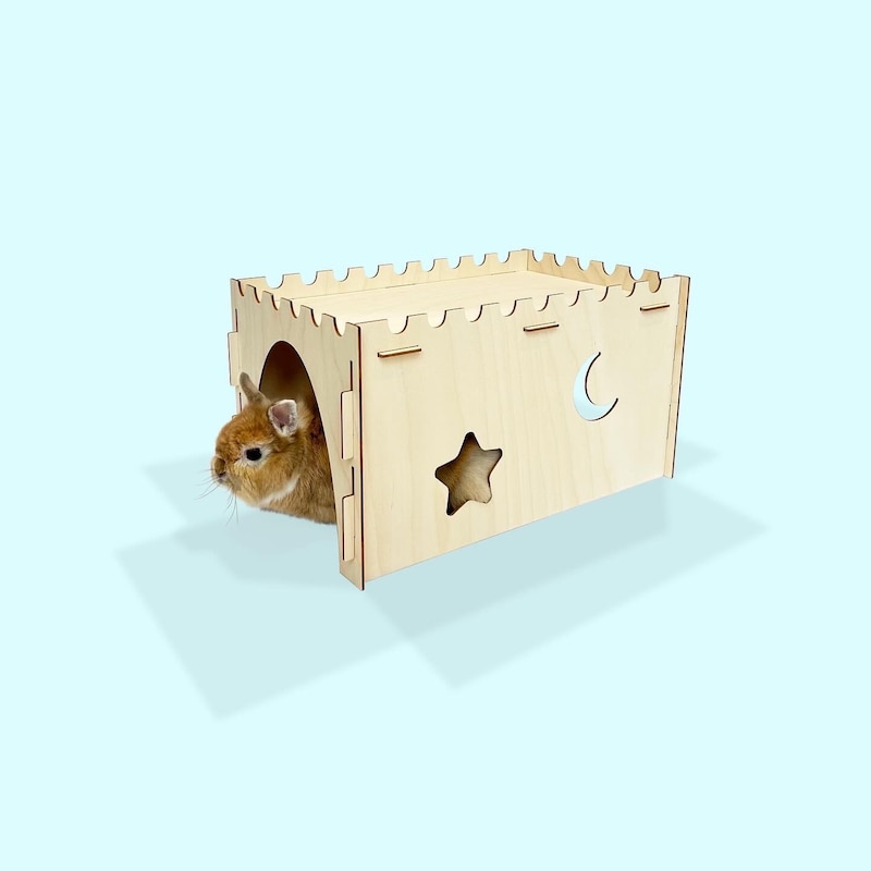 Rabbit Tunnel - Etsy