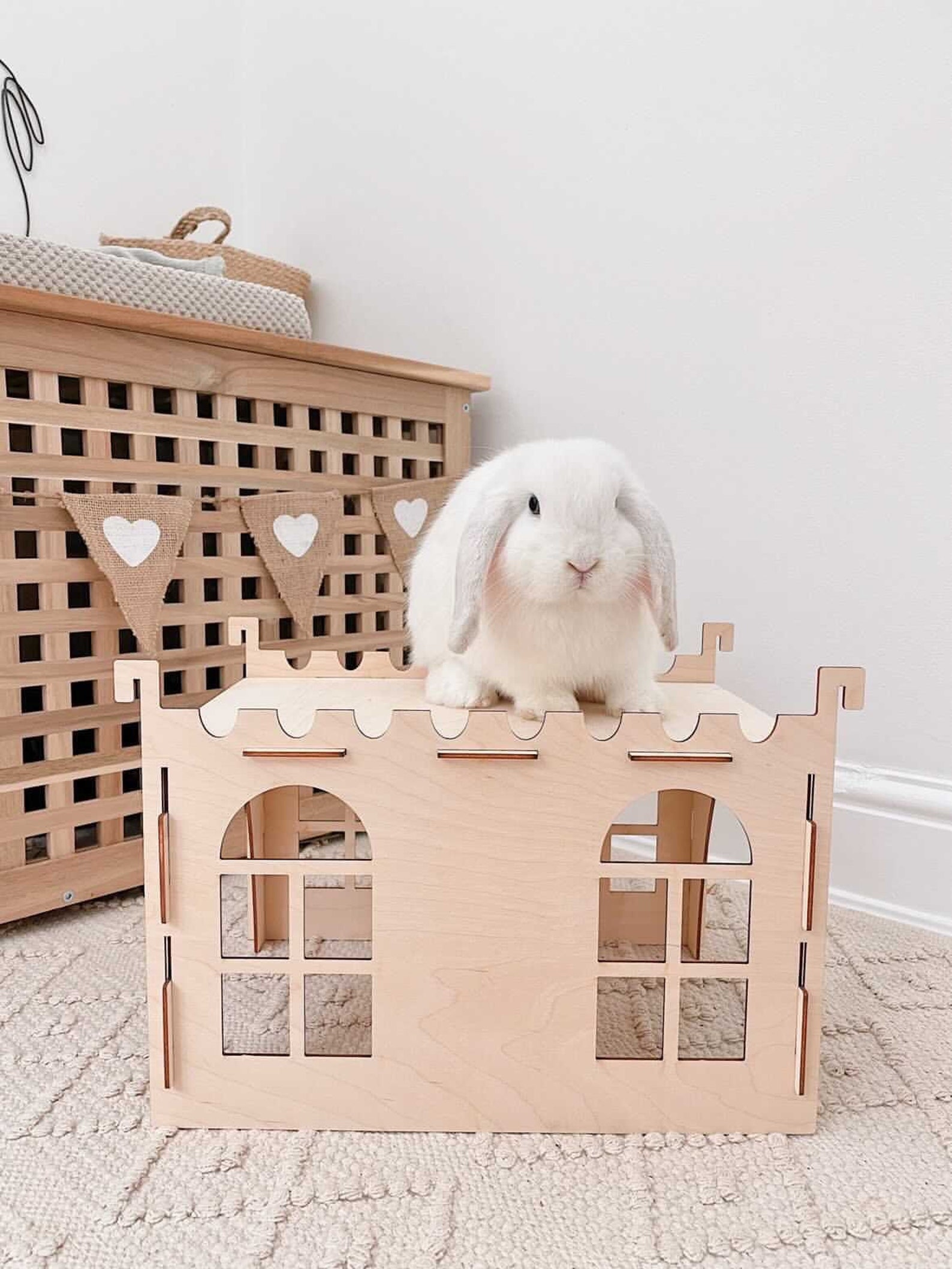 Wooden Rabbit Tunnel - Etsy