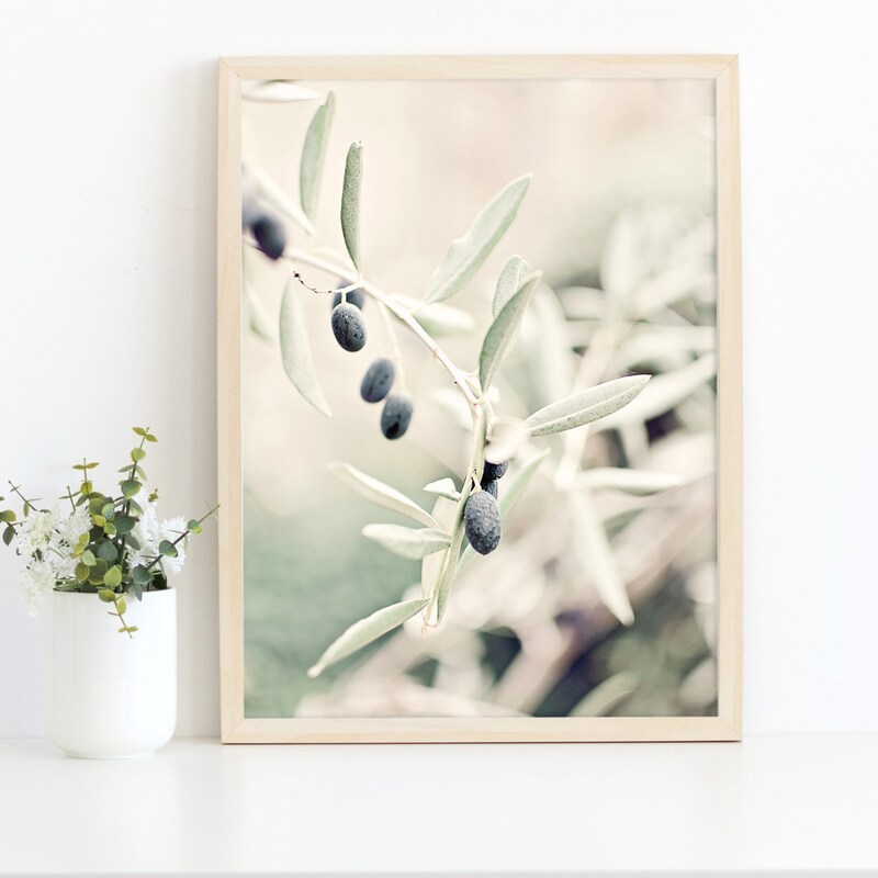Olive Branch - Etsy
