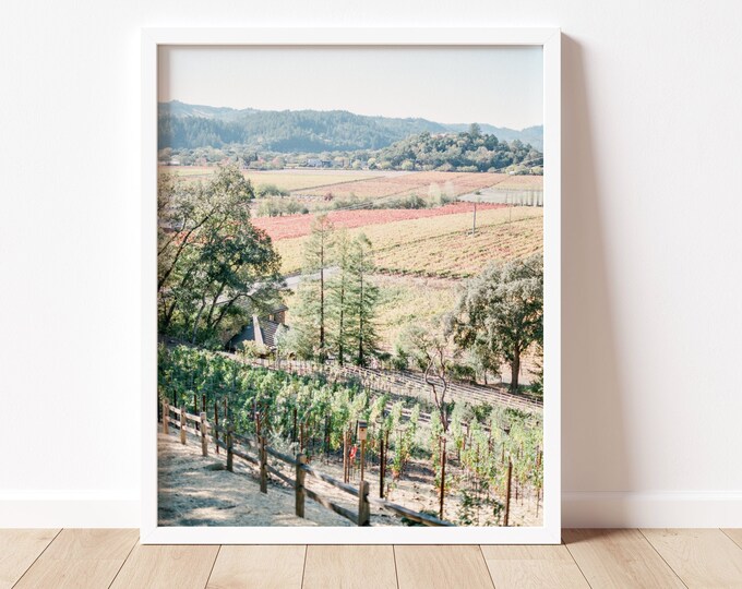 Napa Valley Wine Print Vineyard Vines Wine Art Wine Decor | Etsy