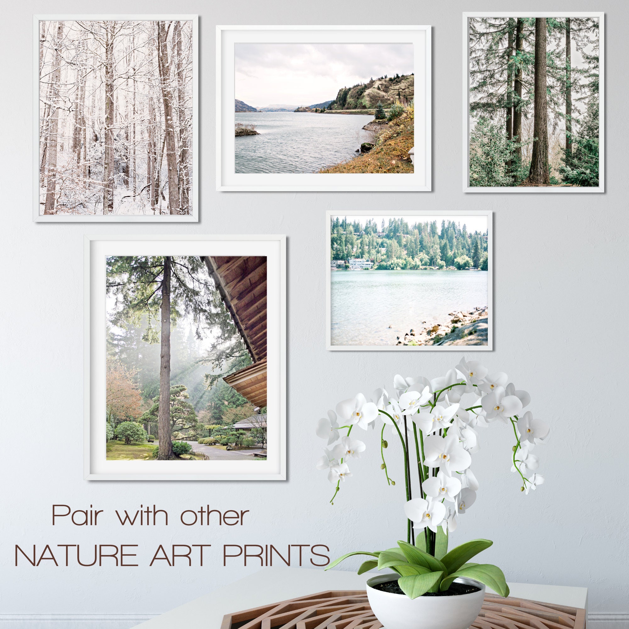 Winter Decor Nature Poster Forest Prints Winter Wall Decor | Etsy