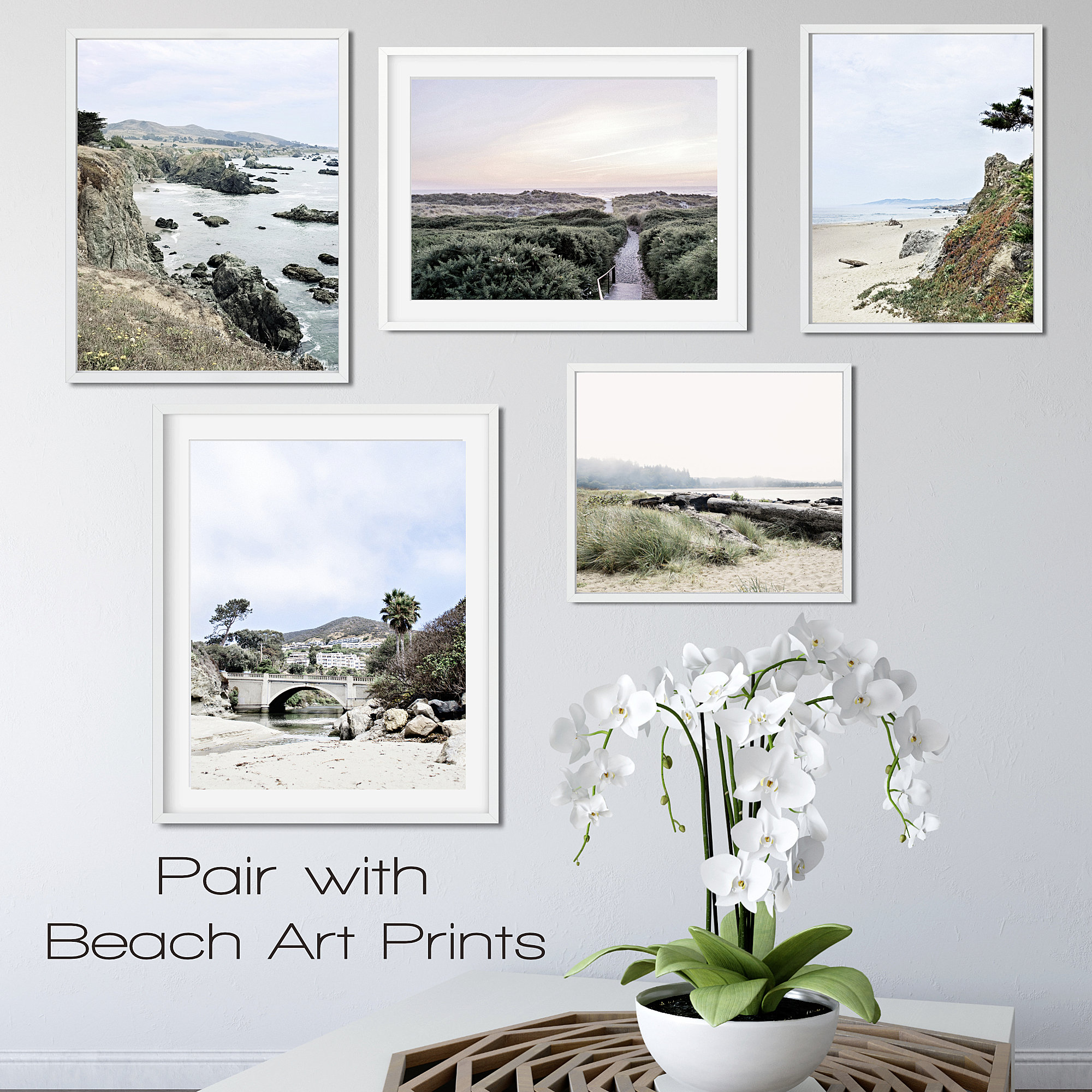 Sunny Sarasota Bay Photo Florida Prints Ocean Art Beach | Etsy