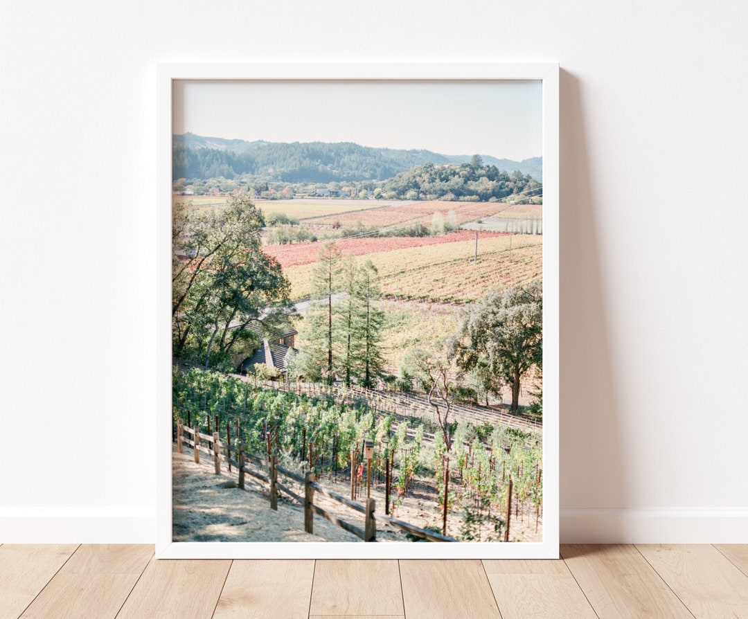 Napa Valley Wine Print, Vineyard Vines, Wine Art, Wine Decor - Etsy