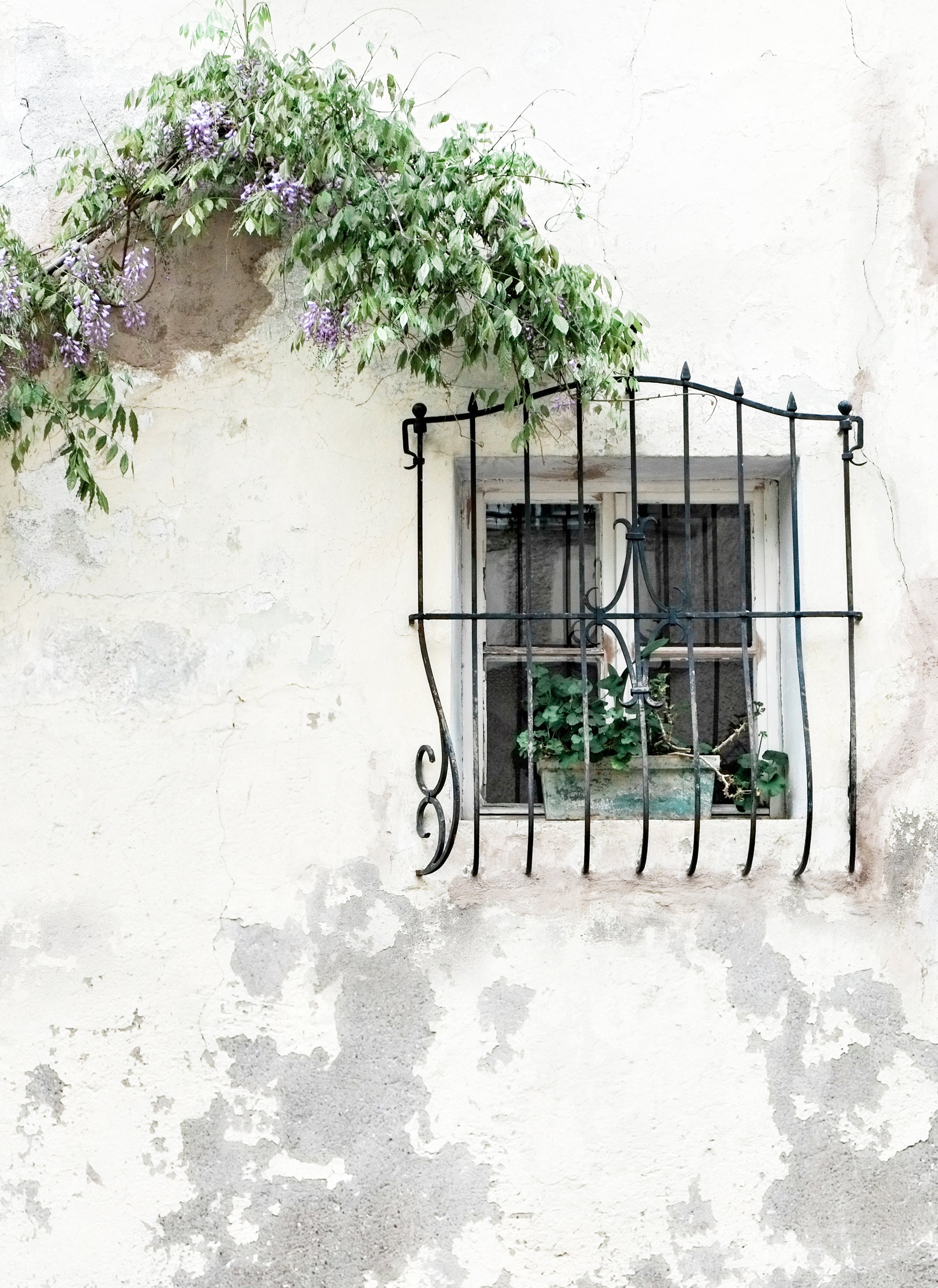 Italy Wall Art Botanical Wall Art Architecture Print - Etsy