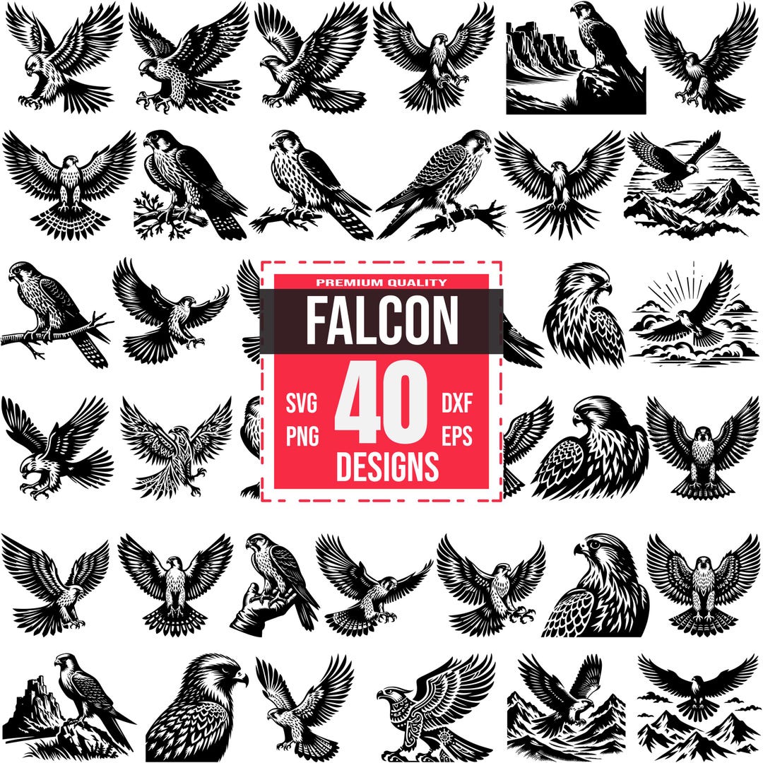 Falcon SVG Pack | 40 High-quality Raptor, Hunting Bird, and Flight ...