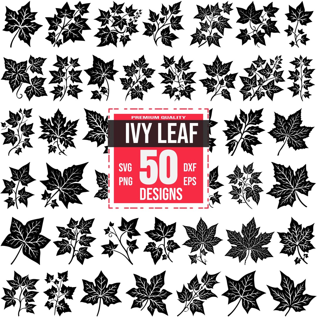 50 Ivy Leaf SVG Bundle, Botanical Leaf Clipart, Vine Leaf Silhouette ...