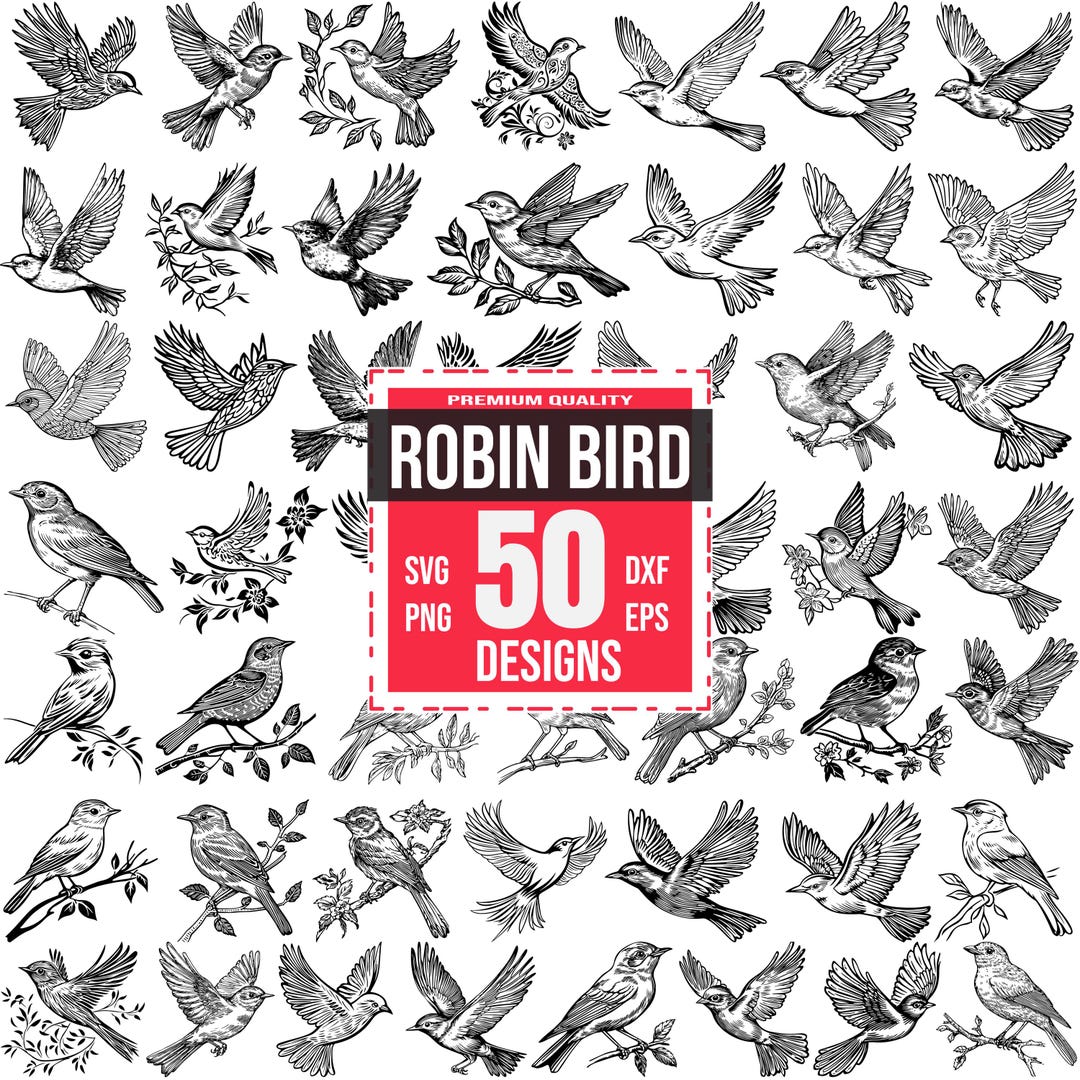 Robin Bird Svg Bundle, Robin Bird Png, Robin Illustration, Winter Robin ...