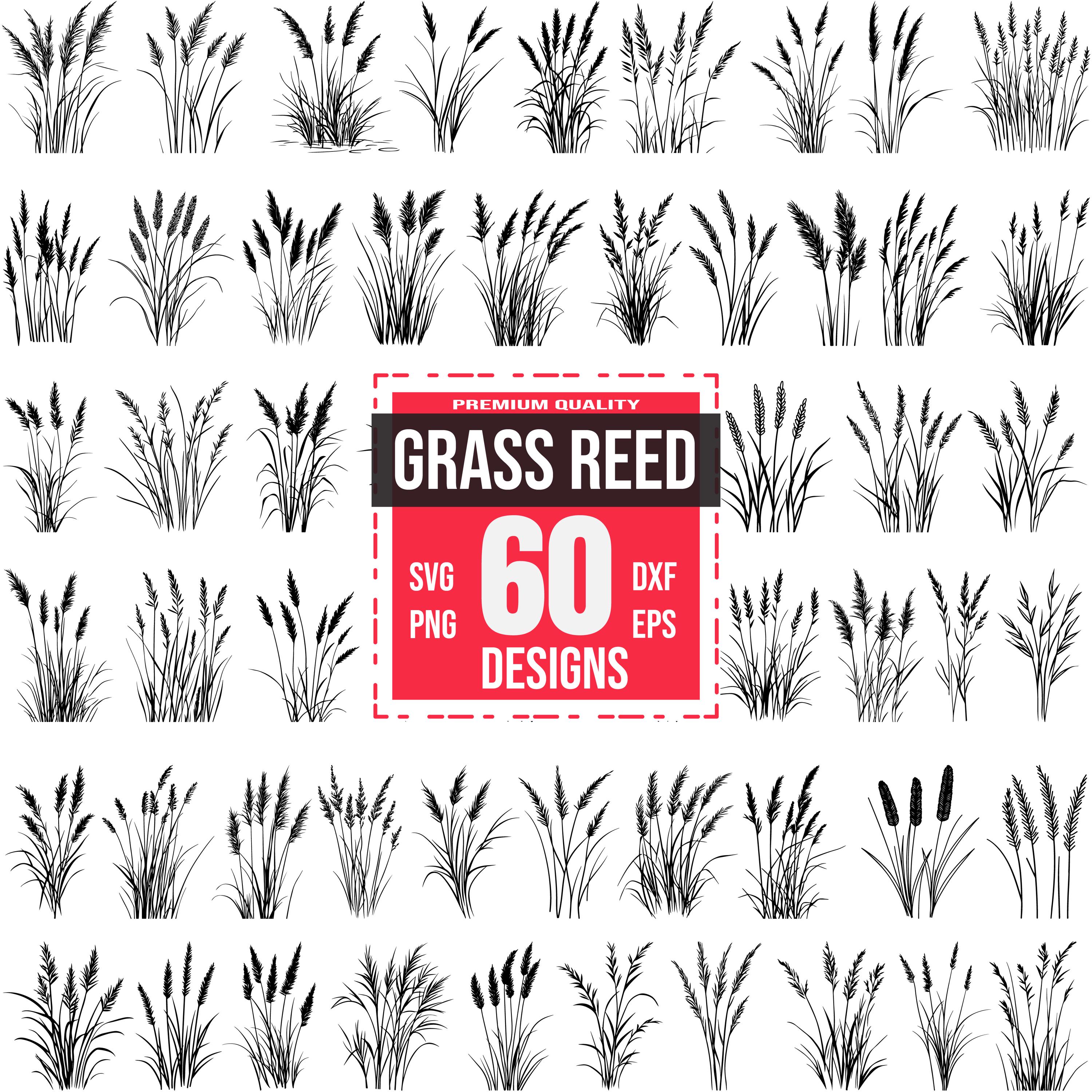 Grass Reed Svg Bundle, Grass Reed Png, Grass Reed Dxf, Grass Clipart ...