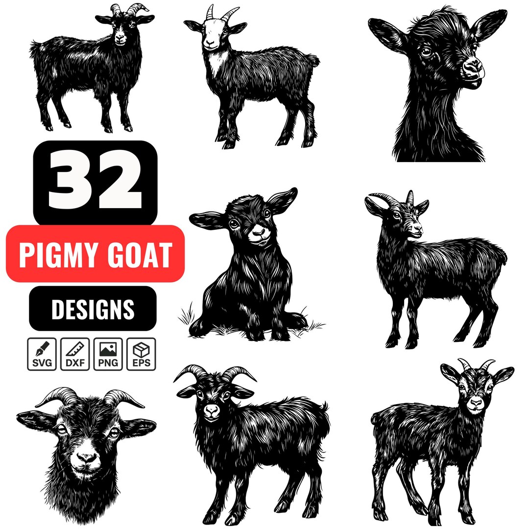 60 Pygmy Goat SVG Bundle, Farm Animal Clipart, Cute Mini Goat ...