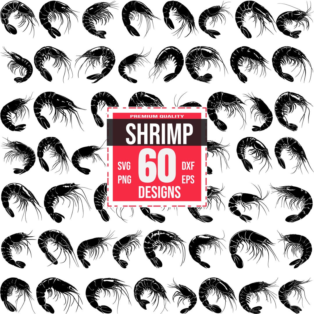 Shrimp Svg Bundle, Seafood Svg, Shrimp Png, Shrimp Vector, Shrimp ...