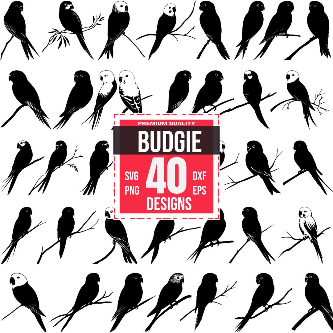 Budgie Svg Bundle, Budgerigar Png, Bird Clipart Svg, Pet Bird Design ...