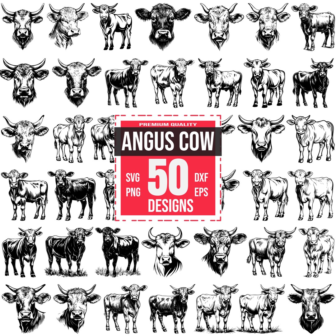 Angus Cow Svg Bundle, Farm Animal Svg, Cattle Svg, Angus Cattle Svg ...