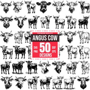 Angus Cow Svg Bundle, Farm Animal Svg, Cattle Svg, Angus Cattle Svg ...