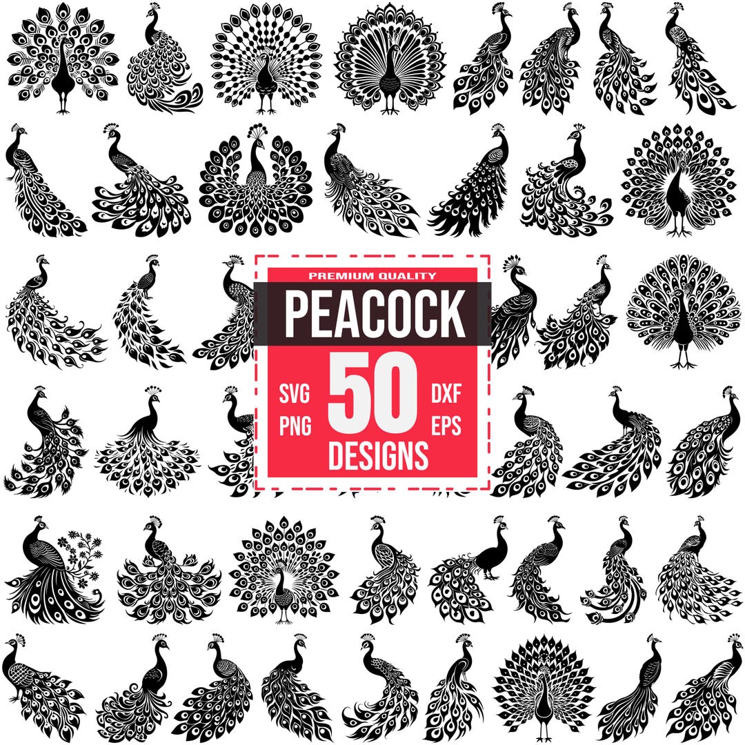 Peacock Svg Bundle, Exotic Bird Svg, Peacock Outline Svg, Peacock Png ...