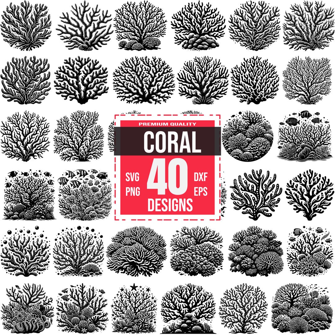 Coral SVG Bundle | 40 Ocean Reef Designs | Marine Life, Sea Nature ...