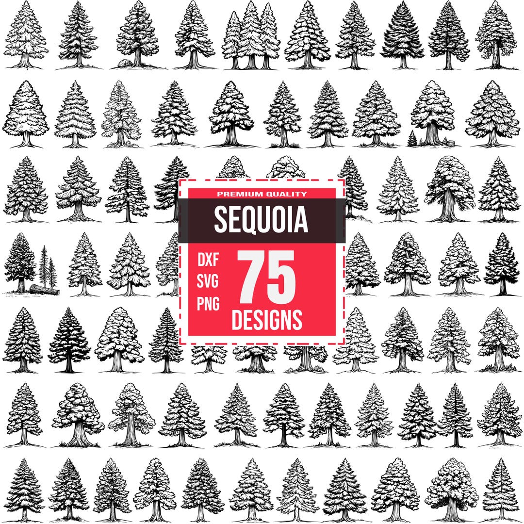 Sequoia Svg Bundle, Giant Sequoia Svg, Redwood Tree Svg, Forest Svg ...