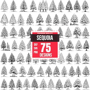 Sequoia Svg Bundle, Giant Sequoia Svg, Redwood Tree Svg, Forest Svg ...