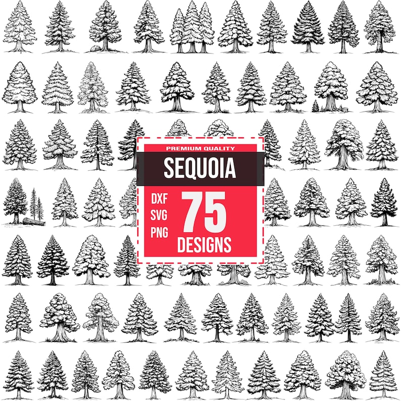 Sequoia Svg Bundle, Giant Sequoia Svg, Redwood Tree Svg, Forest Svg ...