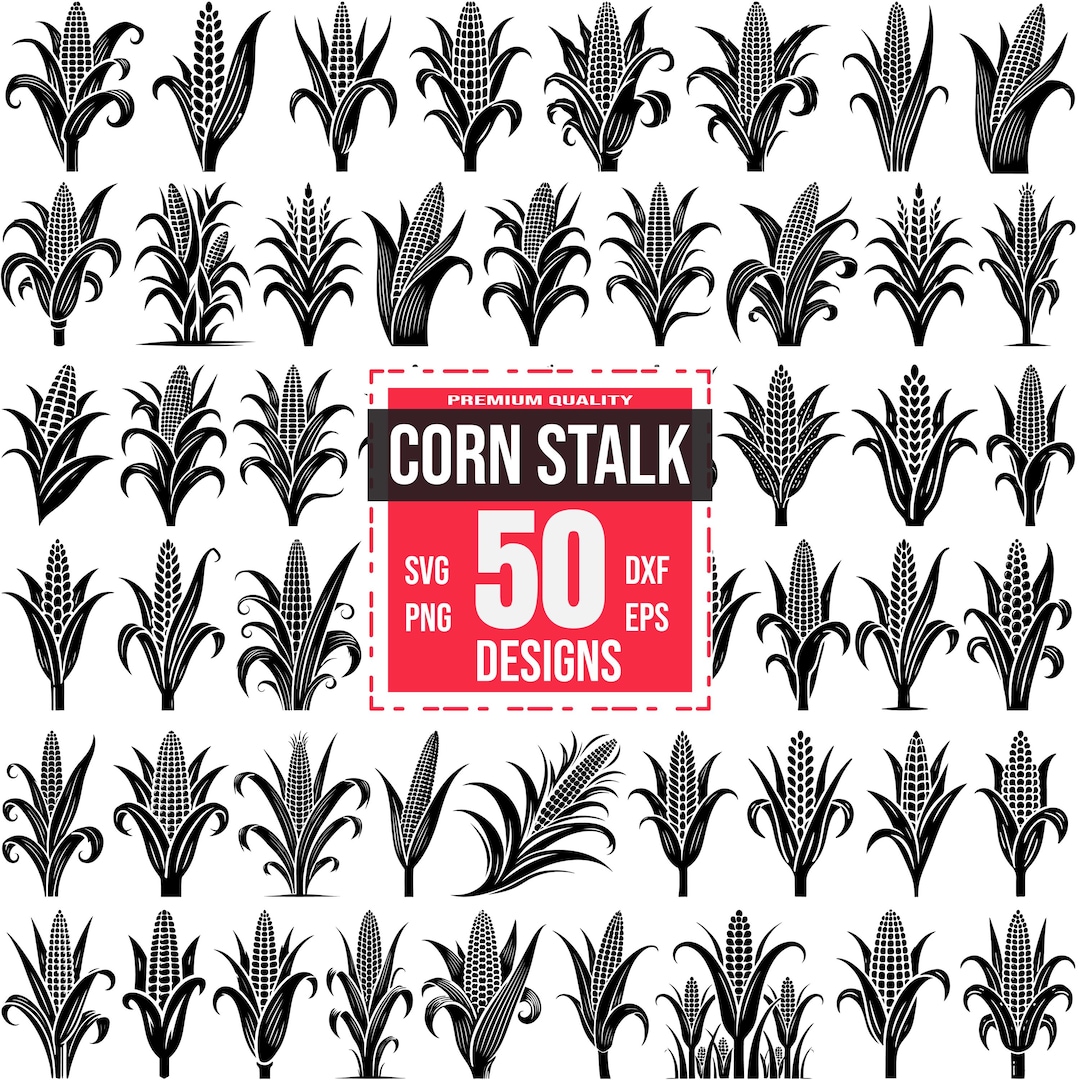 Corn Stalk SVG Bundle | Farm Crop Designs| Rustic Agriculture, Harvest ...