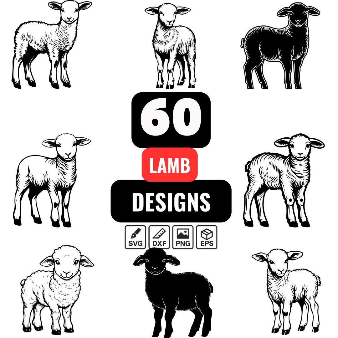 Lamb Svg Bundle, Cute Lamb Clipart, Lamb Illustration, Lamb Cut File ...