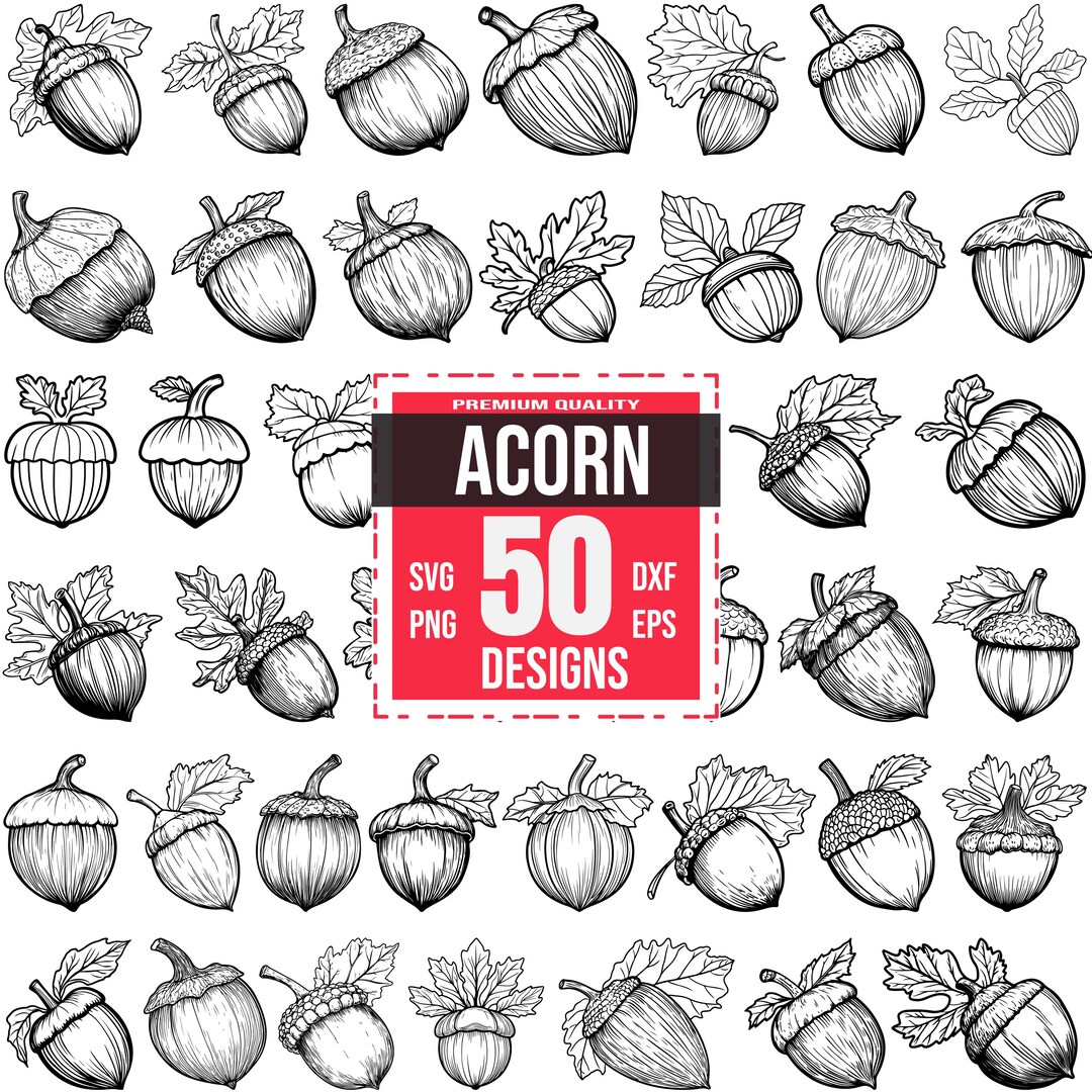 Acorn SVG Bundle, Acorn Clipart, Acorn PNG, Acorn DXF, Acorn Eps ...