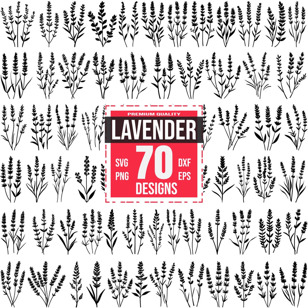 Lavender Svg Bundle, Lavender Png, Lavender Clipart, Lavender Vector ...