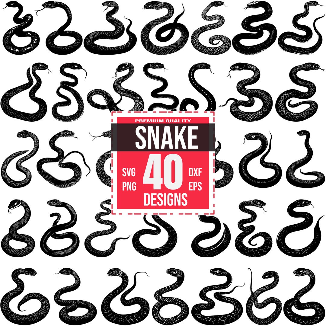 Snake Svg Bundle, Serpent Svg, Snake Illustration, Snake Graphic, Snake ...