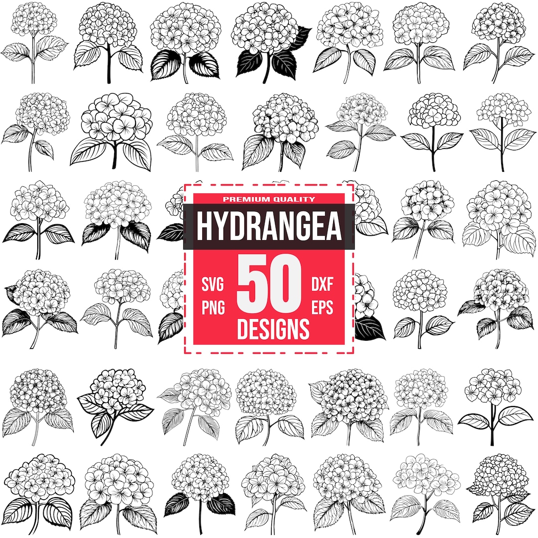 Hydrangea Svg Bundle, Hydrangea Flower Svg, Hydrangea Vector, Garden ...