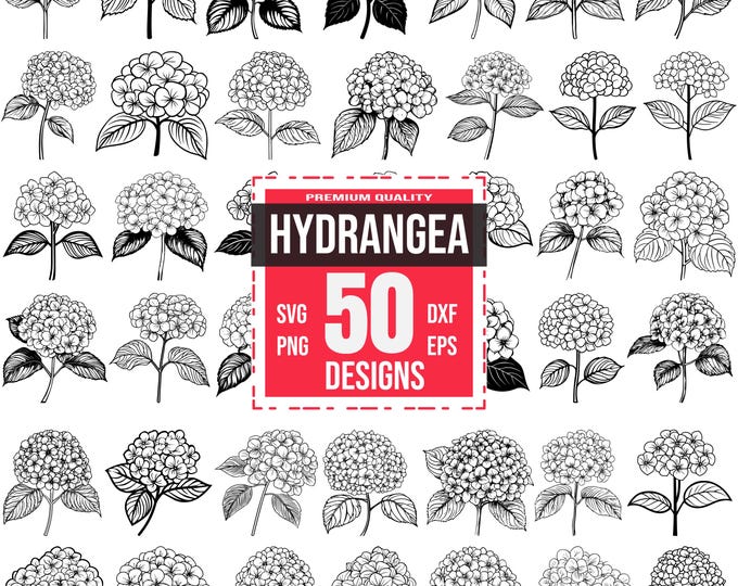 Hydrangea SVG Bundle, Hydrangea Line Art, Hydrangea Dxf, Hydrangea Png ...