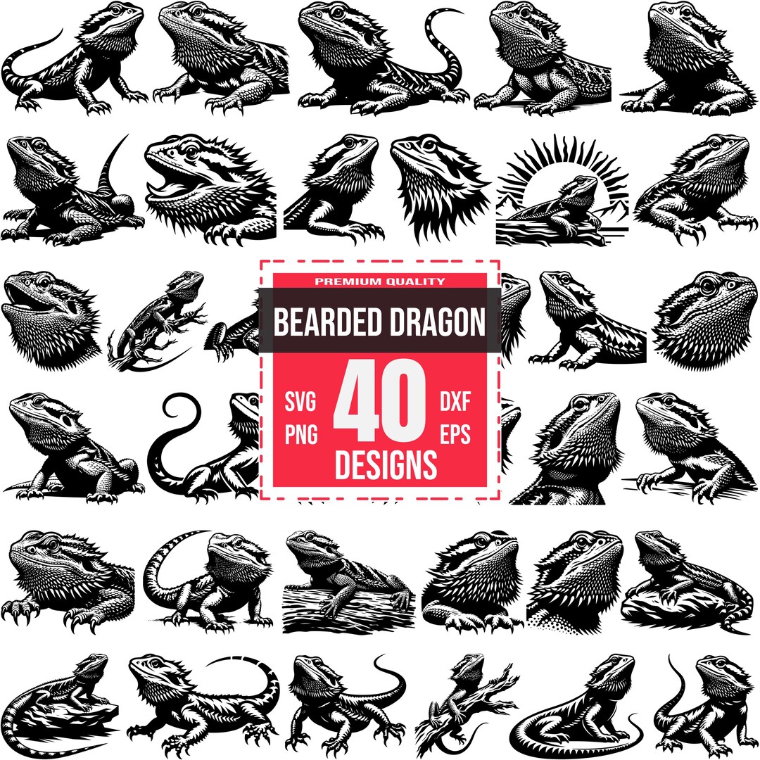 40 Bearded Dragon SVG, Lizard Clipart PNG, Reptile DXF, Bearded Dragon ...
