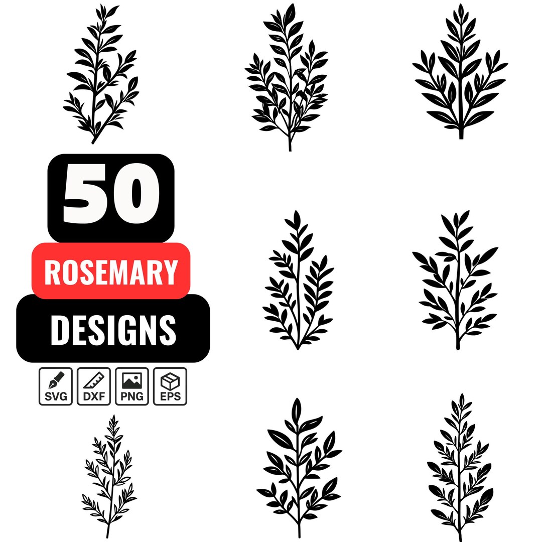 50 Rosemary SVG Bundle – Elegant Rosemary Branch and Herb Designs for ...