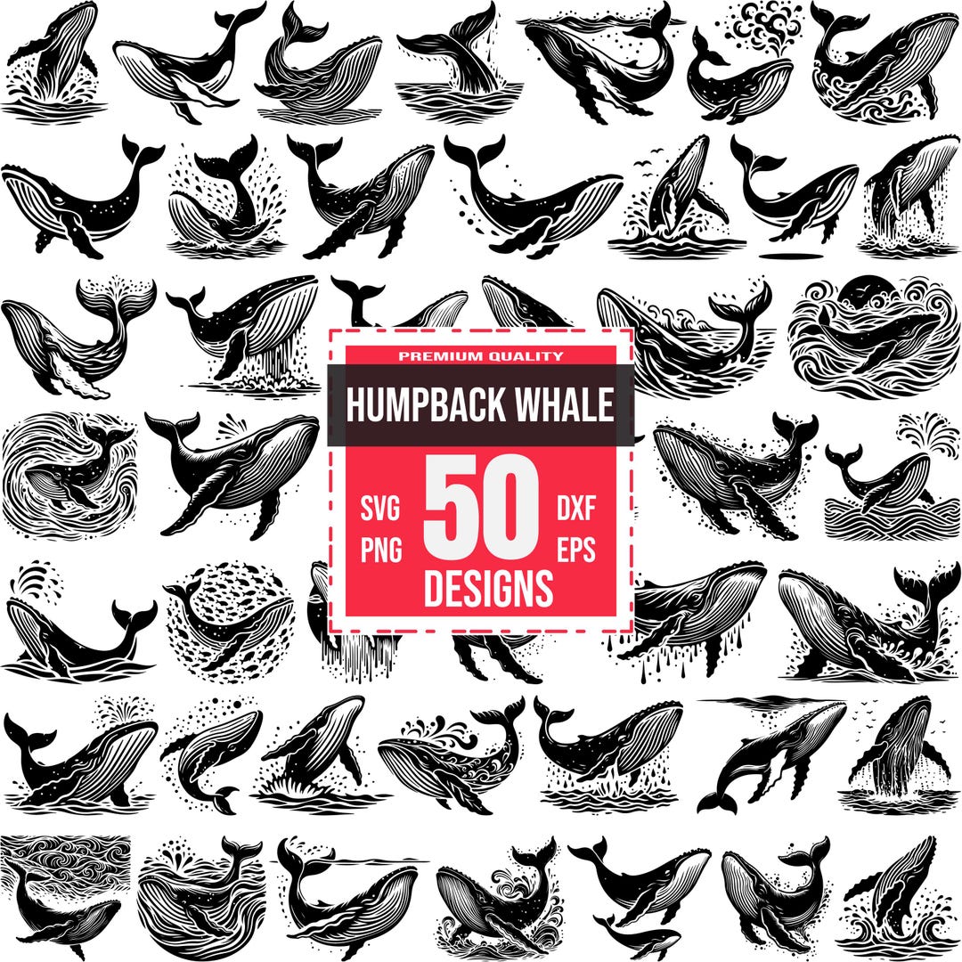 Humpback Whale SVG Bundle | 50 Ocean & Marine Life Designs | Sea ...