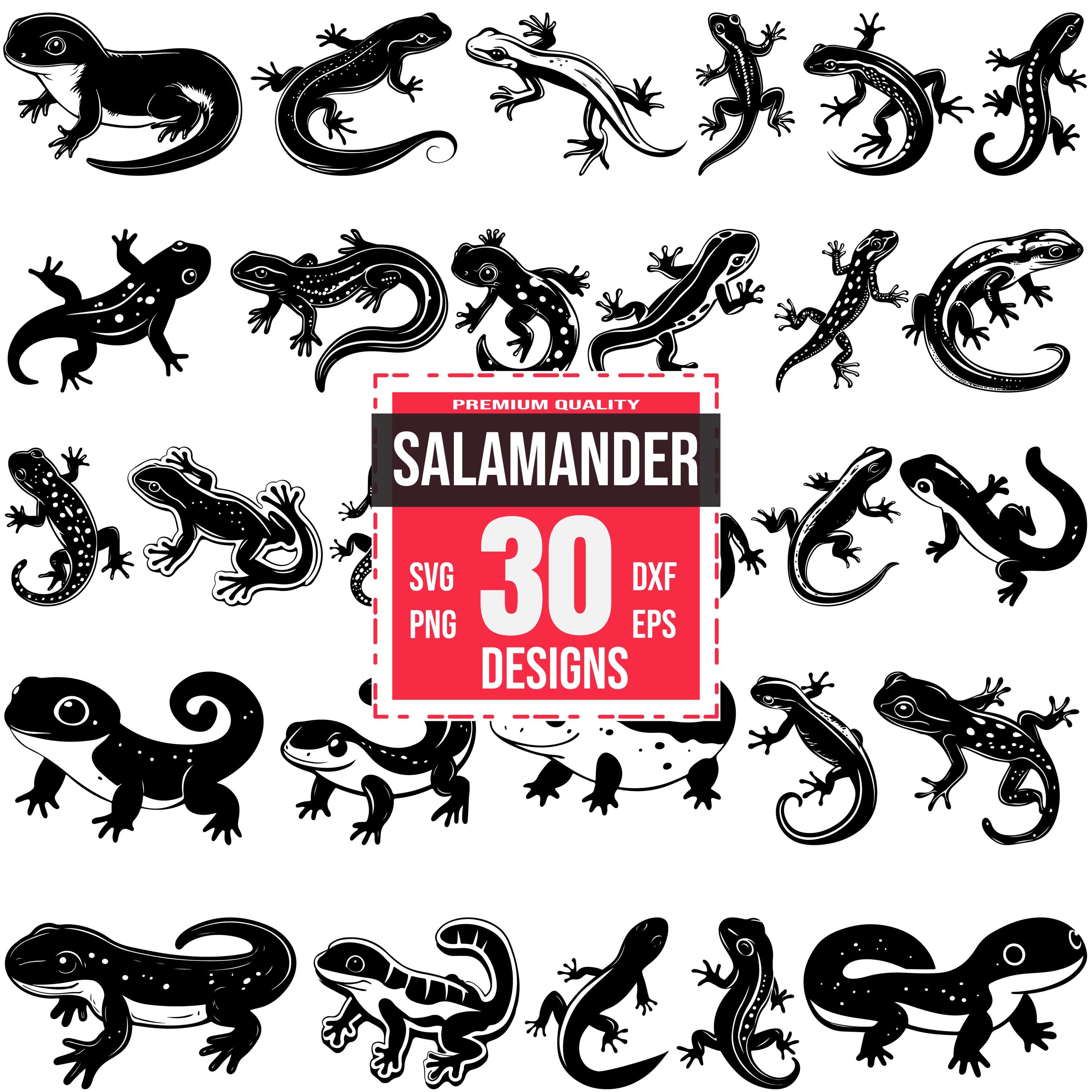 Salamander Svg Bundle, Salamander Png, Fire Salamander Svg, Lizard Svg ...