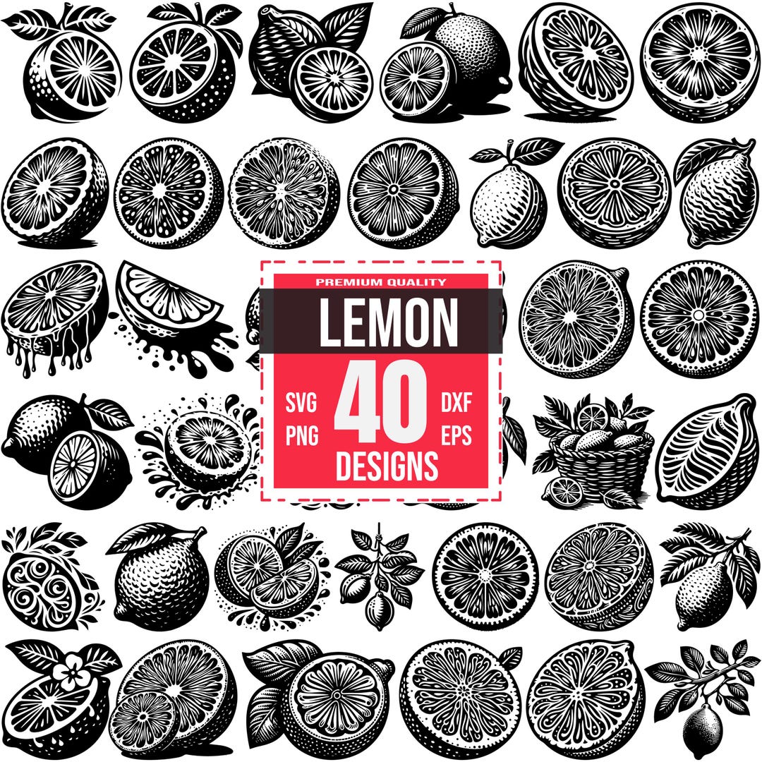 40 Lemon SVG, Citrus Fruit Clipart PNG, Vintage Lemon DXF, Fresh Orange ...