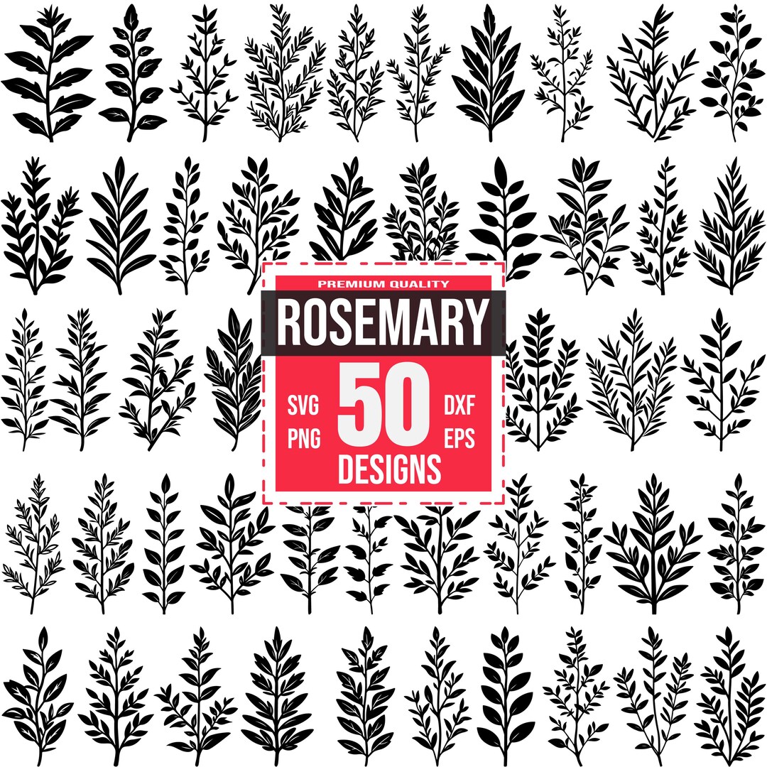 Rosemary Svg Bundle, Herb Design Png, Rosemary Clipart, Aromatic Herb ...