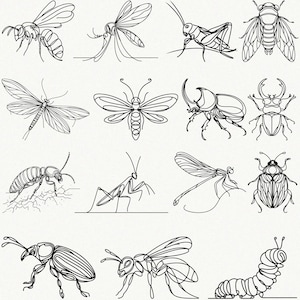 Insect Line Art SVG Bundle | 60 Insect One Line Drawing Clipart ...