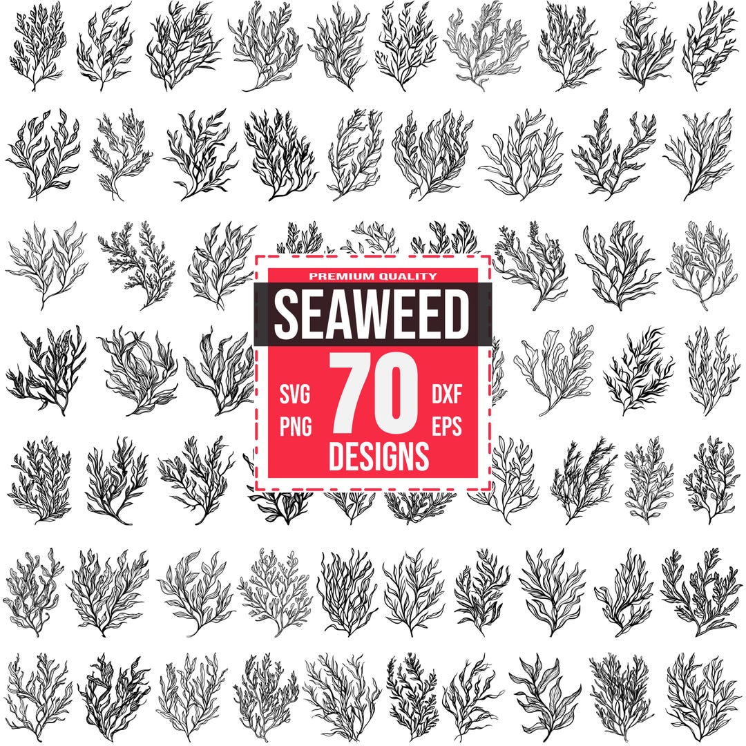 Seaweed Svg Bundle, Seaweed Outline Svg, Seaweed Drawing, Seaweed ...