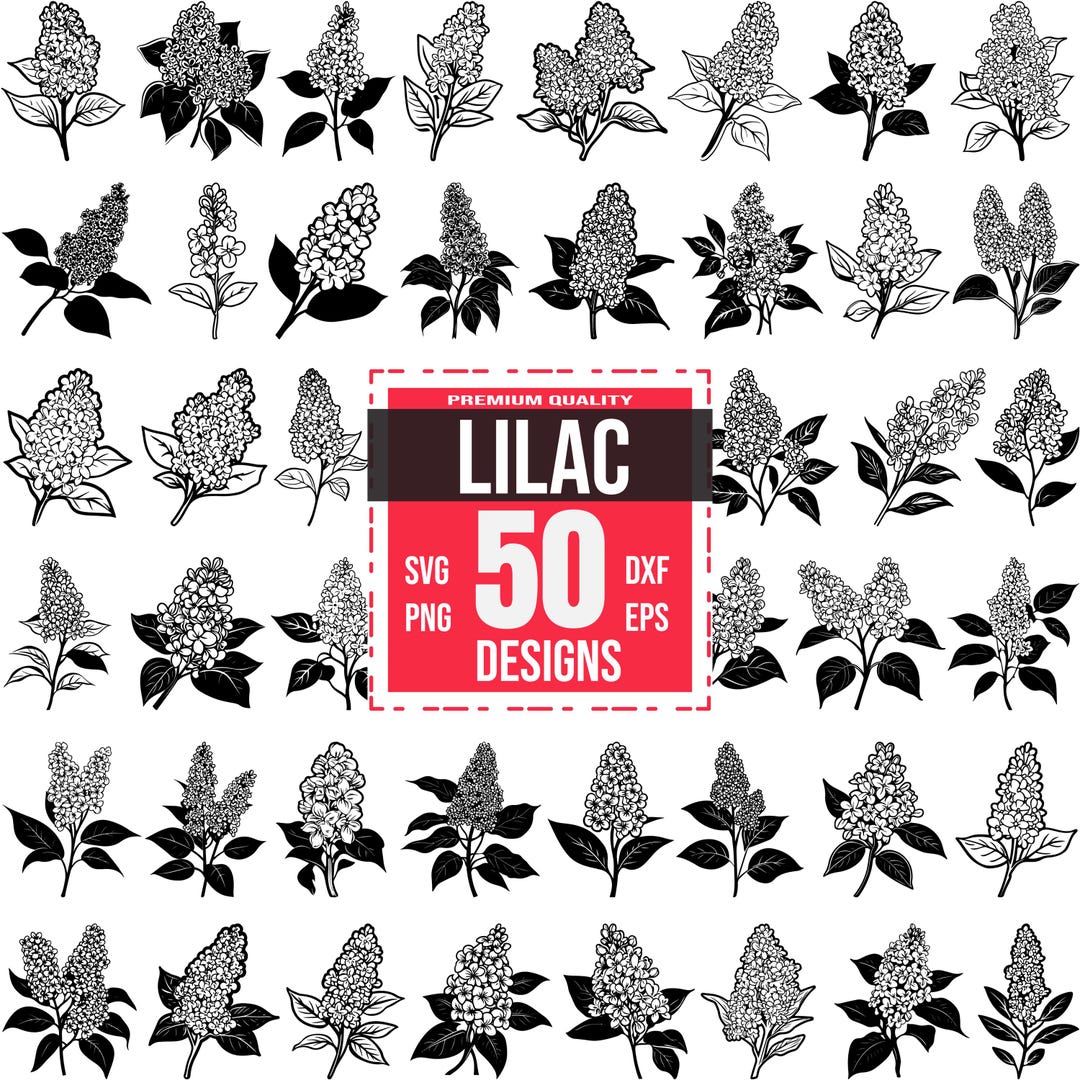 Lilac Svg Bundle, Lilac Svg, Lilac Png, Lilac Dxf, Lilac Clipart, Lilac ...