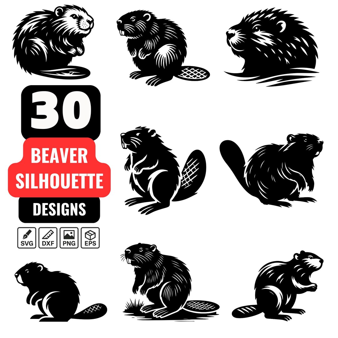 Beaver Svg Bundle, Beaver Silhouette Clipart, Beaver Vector Set, Beaver ...