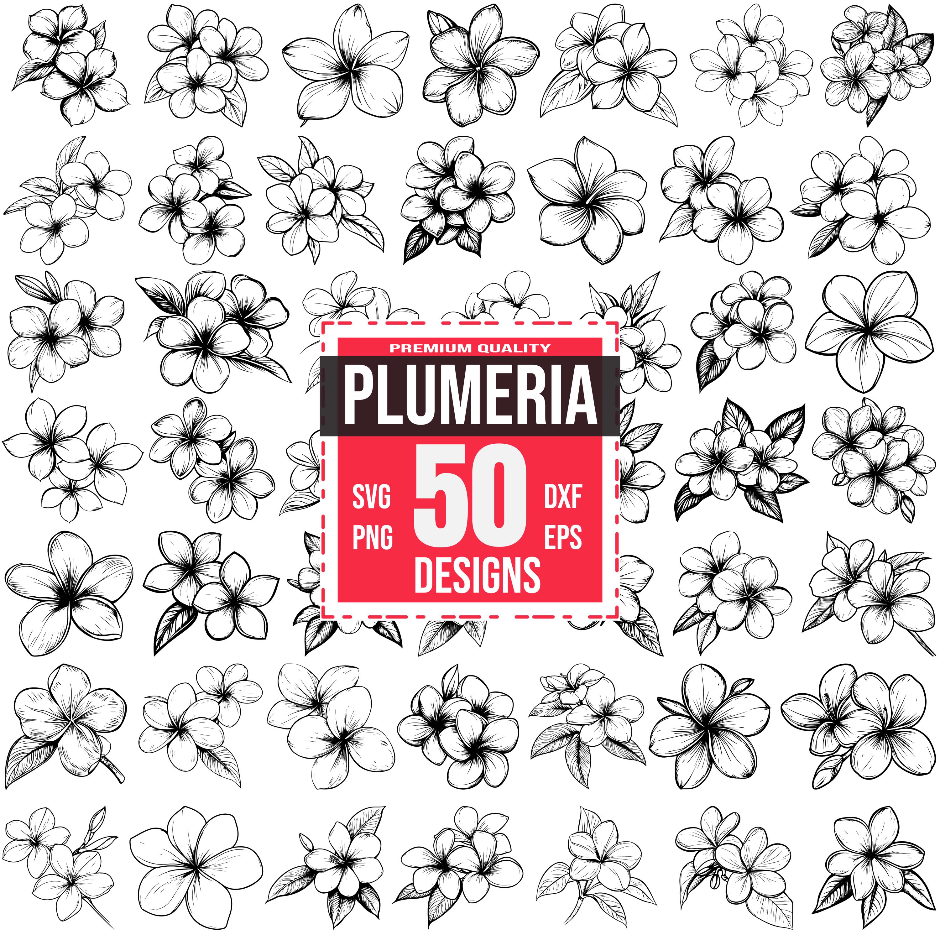 Plumeria Svg Bundle, Plumeria Flower Svg, Frangipani Svg, Plumeria ...