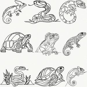 Reptile Line Art SVG Bundle, One Line Drawing Lizard Snake Turtle ...