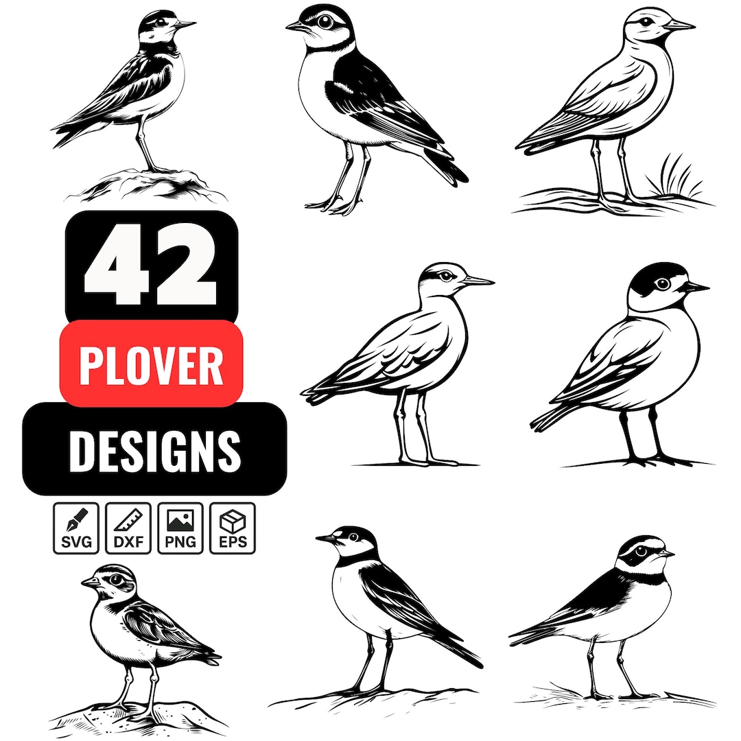 42 Plover SVG Bundle | Shorebird Silhouette Clipart | Coastal Bird ...
