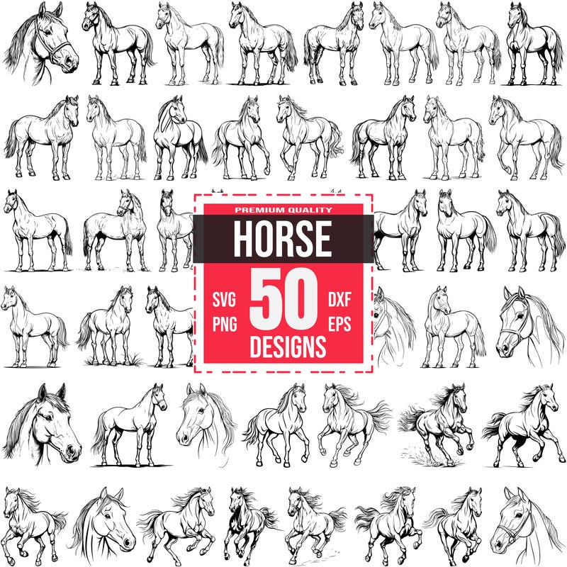 Horses Svg - Etsy