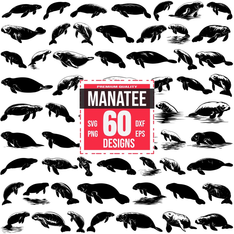 Manatee Svg - Etsy