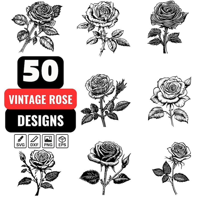 50 Vintage Rose SVG Bundle | Antique Floral Clipart PNG | Old Style ...
