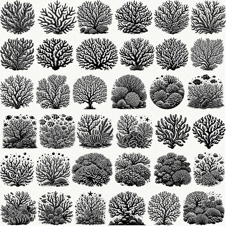 Coral SVG Bundle | 40 Ocean Reef Designs | Marine Life, Sea Nature ...